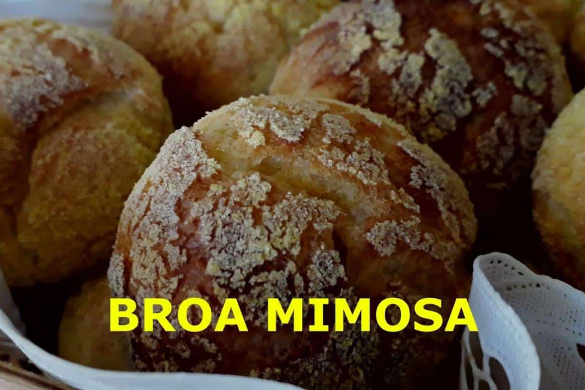 Fui numa fazenda e trouxe de lá uma receita de broa mimosa deliciosa ...
