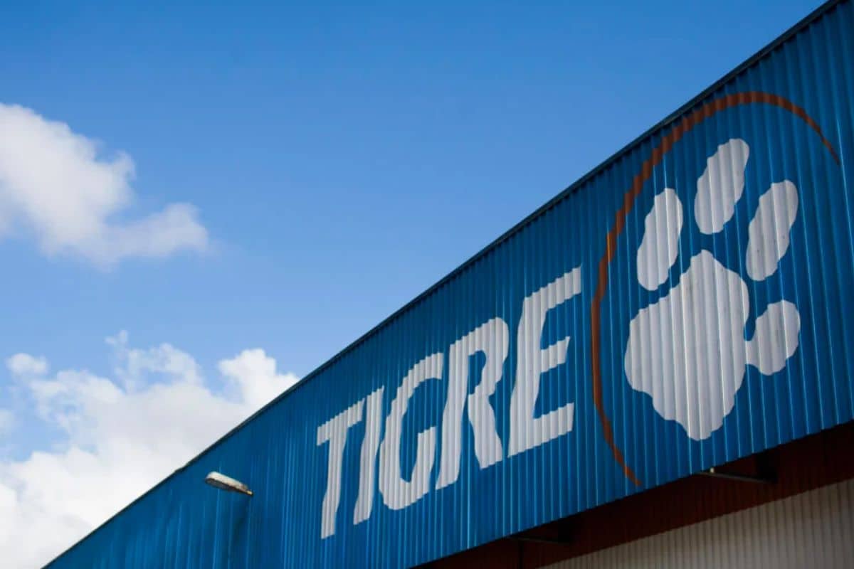 Fábrica da Tigre abre vagas para homens e mulheres em Rio Claro